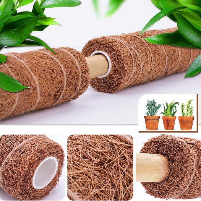 15.7 Inches Natural Colored Plant Poles Coconut Coir poles Moss Pole ...