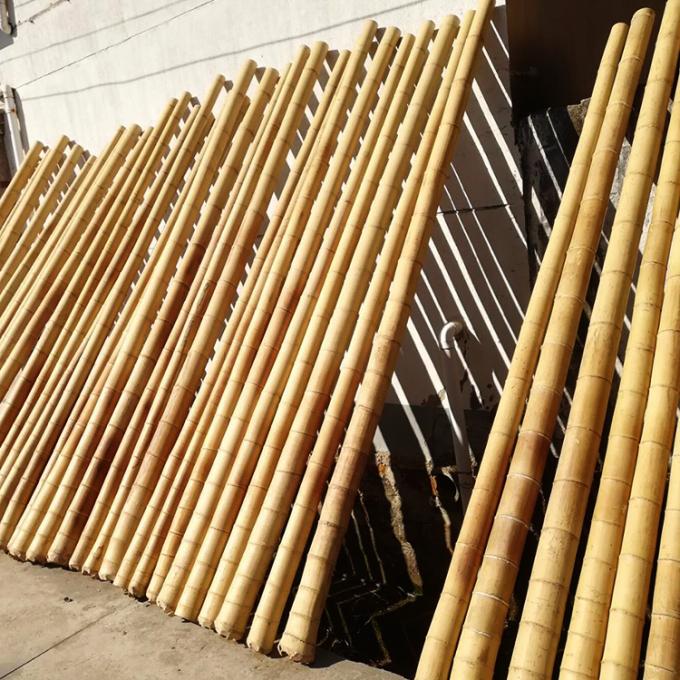 Raw Bamboo Pole 100% Natural for Gardening Construction and Decoration ...