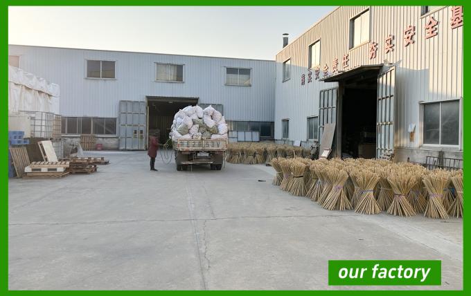 China Shanghai Forever Import & Export Co., Ltd. factory production line