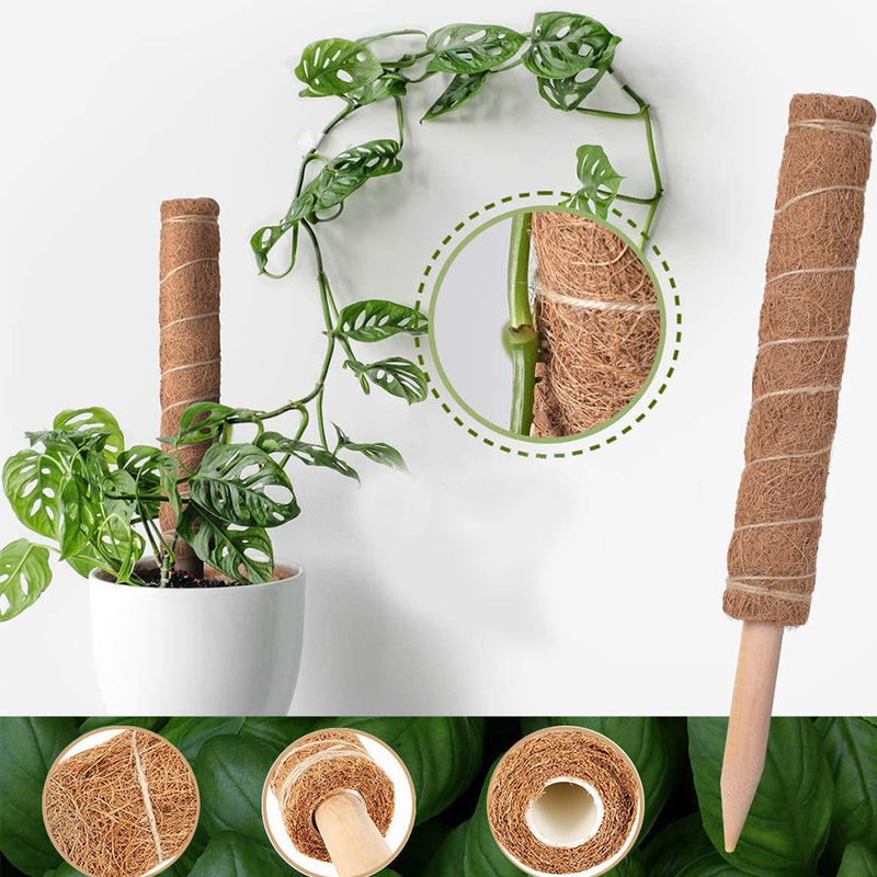 44cm Coir Moss Totem Pole Kit For Plants Climbing And Supporting Plants ...
