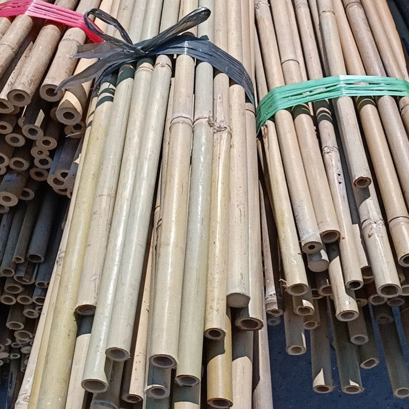 10cm Raw Bamboo Poles