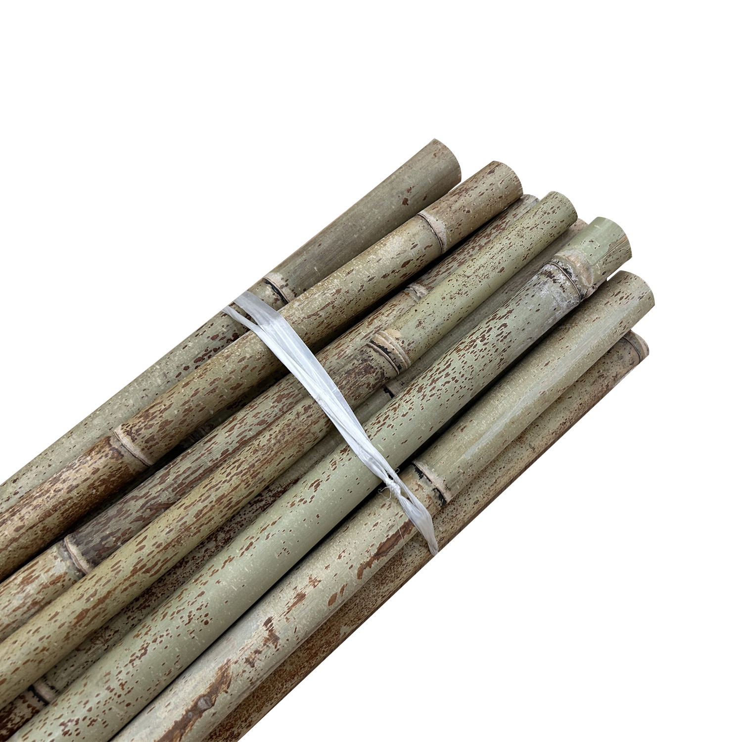 Nature Raw Bamboo Straight Bamboo Poles For Garden Farm Plant Support ...