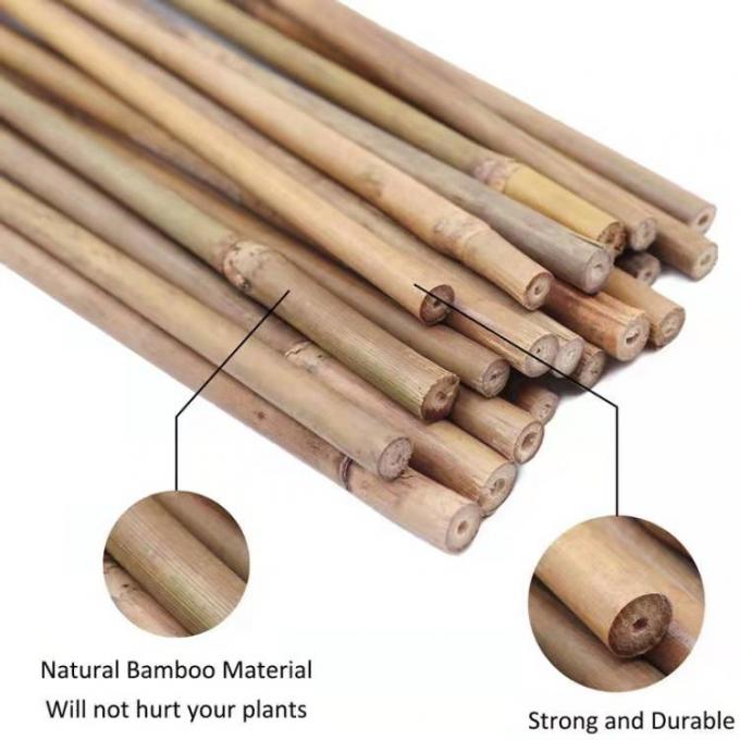 250cm Raw Bamboo Poles Bamboo Stakes For Decoration Plant